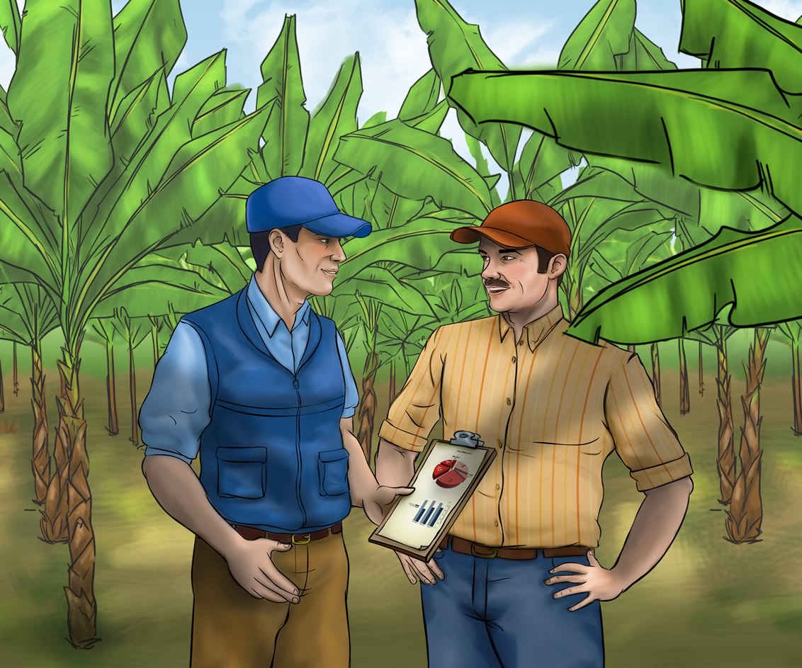 Emanna Creations | Marcos Toledo